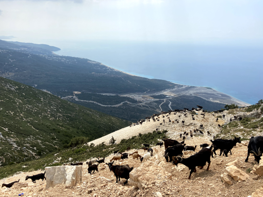 Vlora and Llogara National Park Tour – From Tirana - SmartTourAlbania